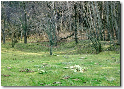Tour of Historic Mormon City of Voree - Burlington, Wisconsin - Like Nauvoo