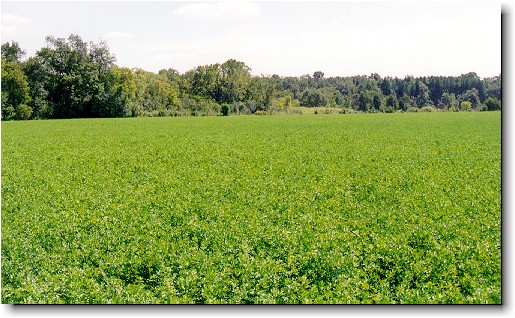 Tour of Historic Mormon City of Voree - Burlington, Wisconsin - Like Nauvoo