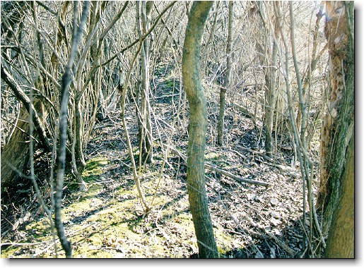 Tour of Historic Mormon City of Voree - Burlington, Wisconsin - Like Nauvoo