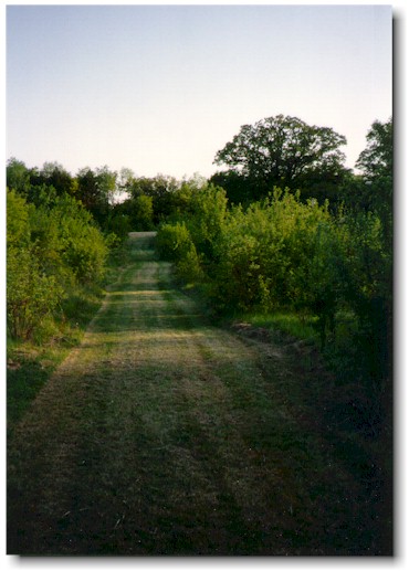 Tour of Historic Mormon City of Voree - Burlington, Wisconsin - Like Nauvoo