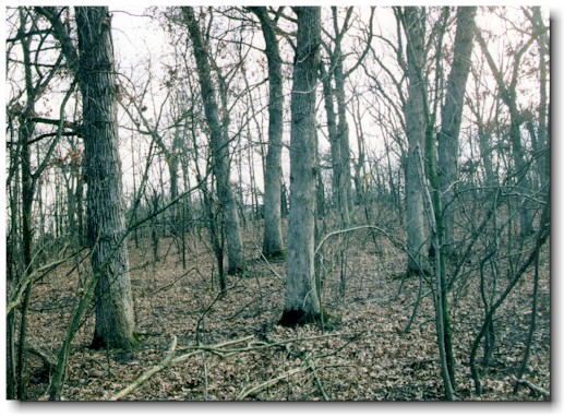 Tour of Historic Mormon City of Voree - Burlington, Wisconsin - Like Nauvoo