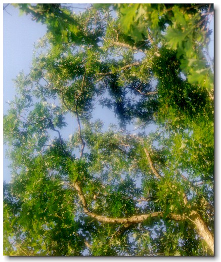 Tour of Historic Mormon City of Voree - Burlington, Wisconsin - Like Nauvoo