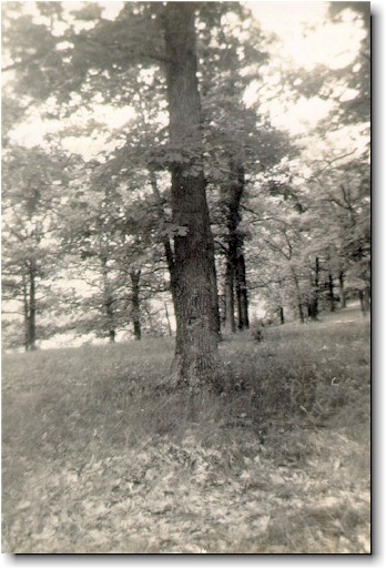 Tour of Historic Mormon City of Voree - Burlington, Wisconsin - Like Nauvoo
